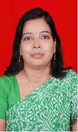 Core Faculty – BVIMSR